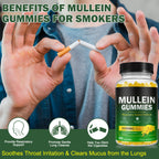 Mullein extract for immune health
