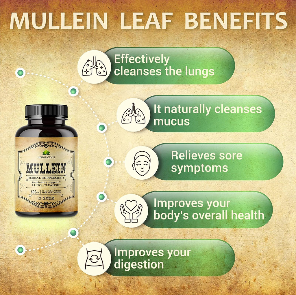 Mullein extract for immune support