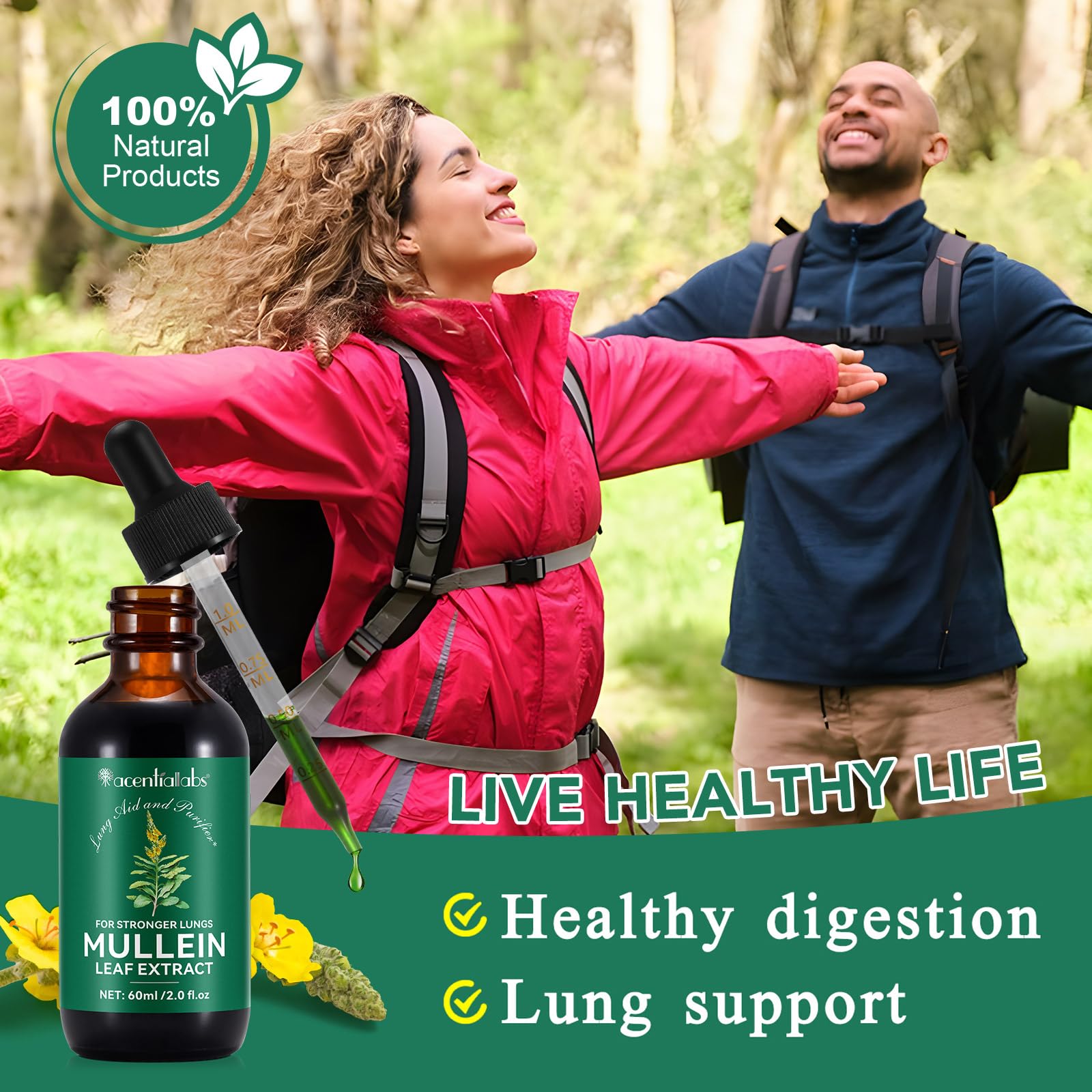 mullein extract for immune support