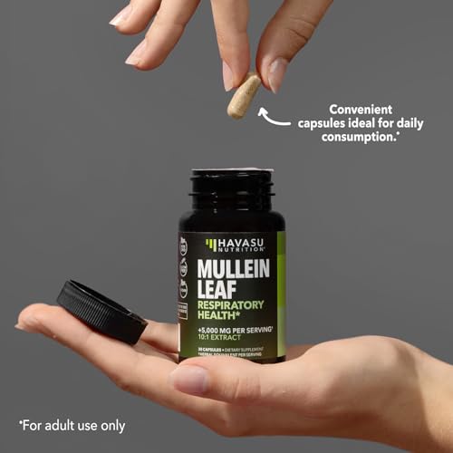 mullein extract for immune system boost
