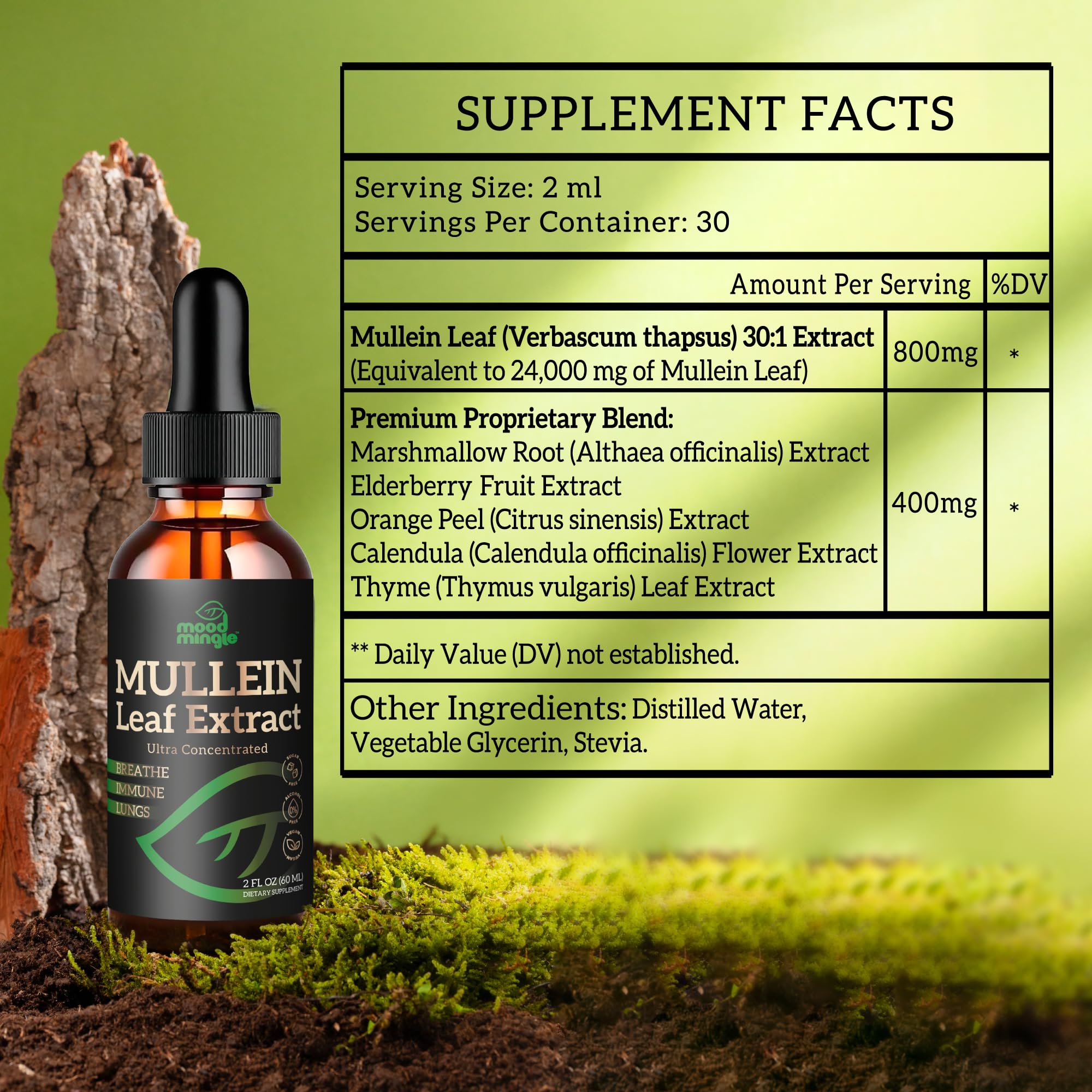 mullein extract for improved lung function