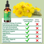Mullein extract for lung health