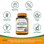 Mullein extract for lung health