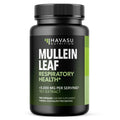 mullein extract for lung health