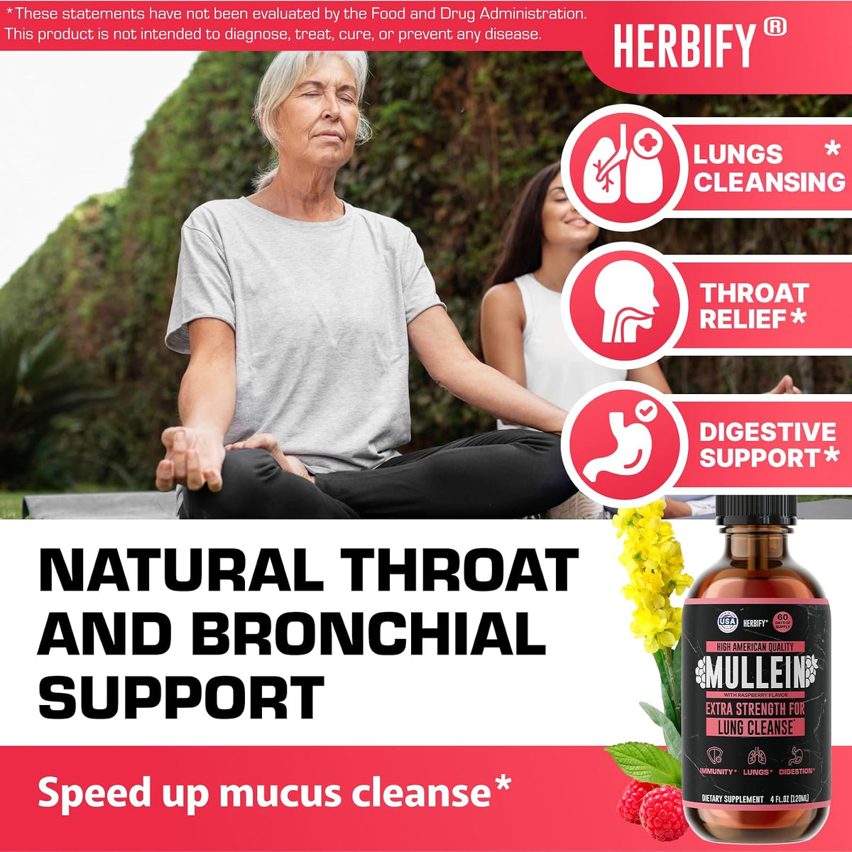 Mullein extract for lung support
