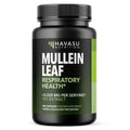 Mullein extract for respiratory health