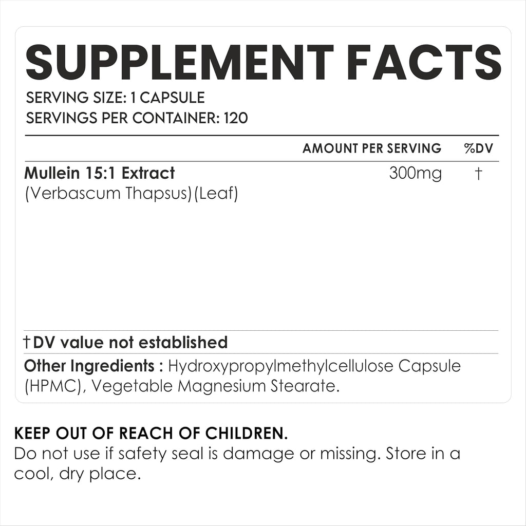 Mullein extract for respiratory health