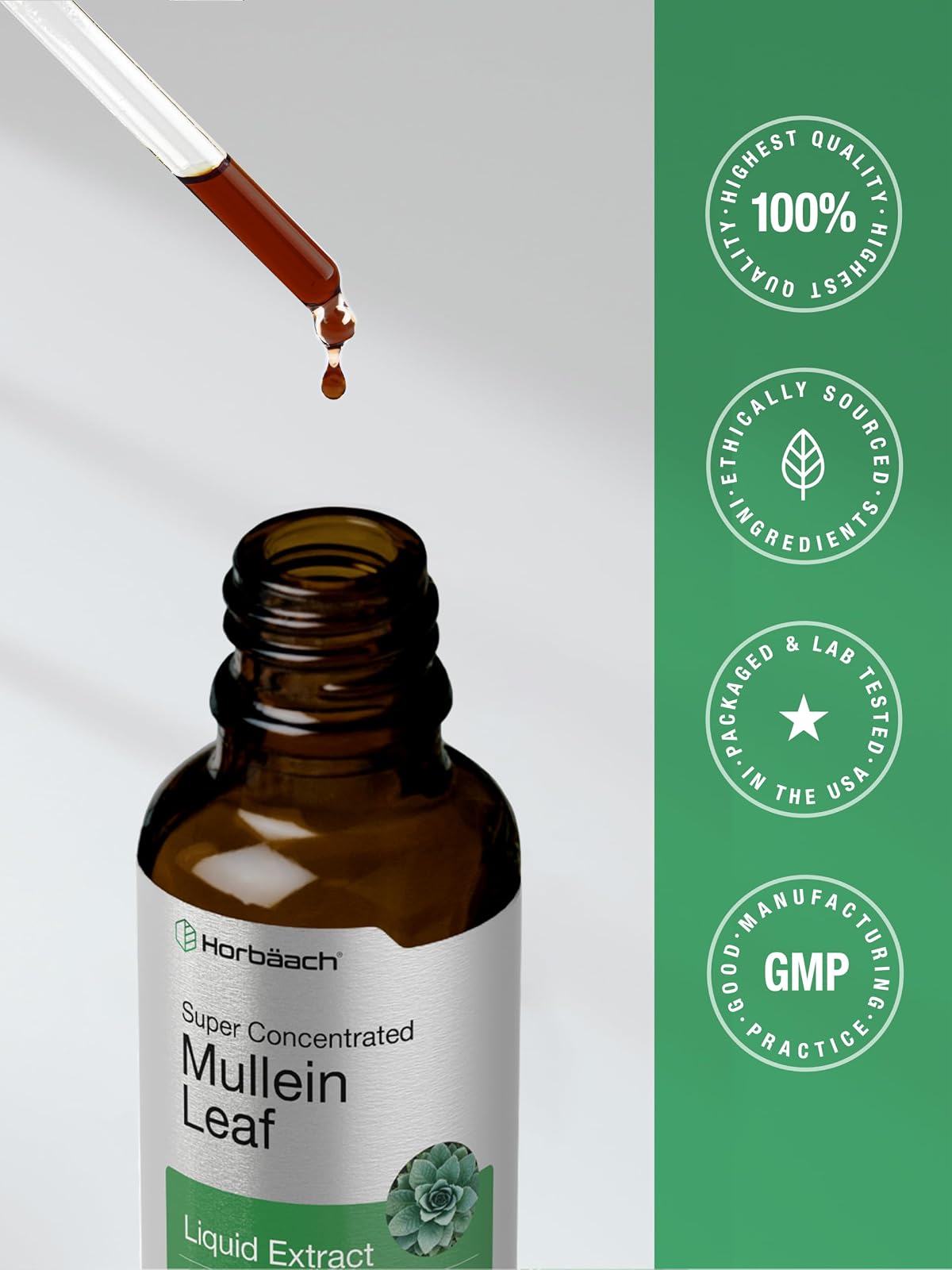 Mullein extract for seasonal allergies