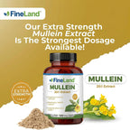 Mullein extract for seasonal wellness