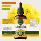 Mullein extract for soothing lungs
