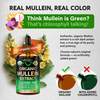 mullein extract for soothing throat