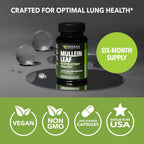 Mullein extract for throat comfort