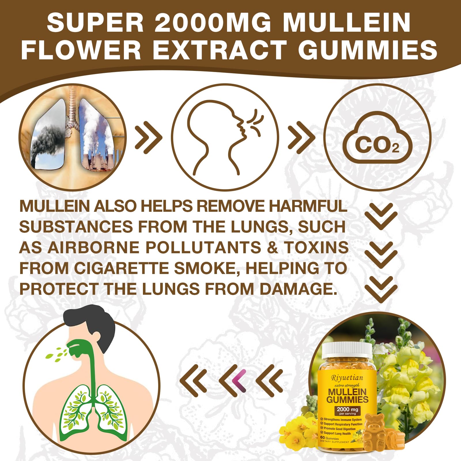 Mullein extract for throat comfort