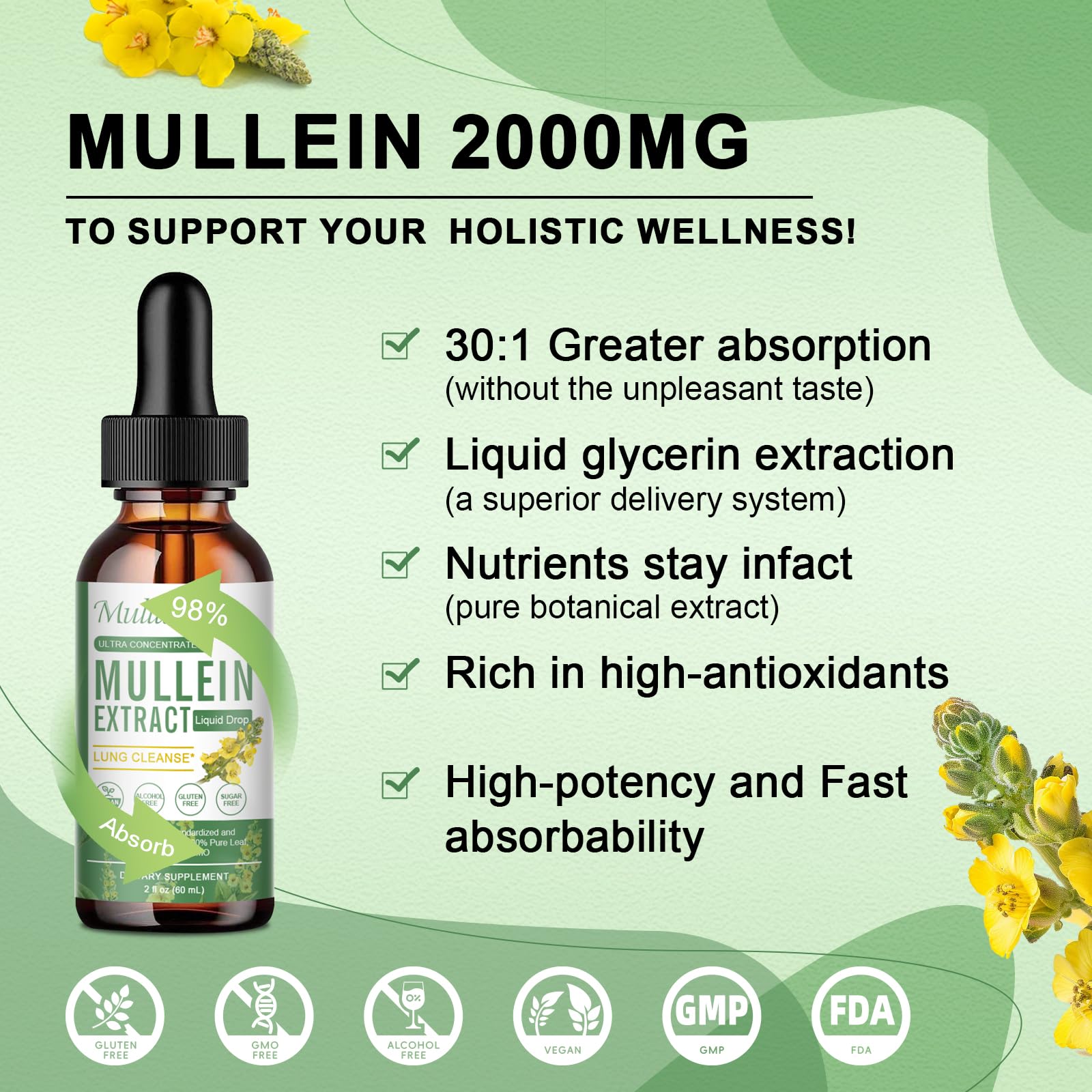 mullein extract for wellness support