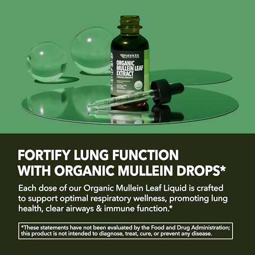 Mullein extract supports lung function