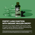 Mullein extract supports lung function