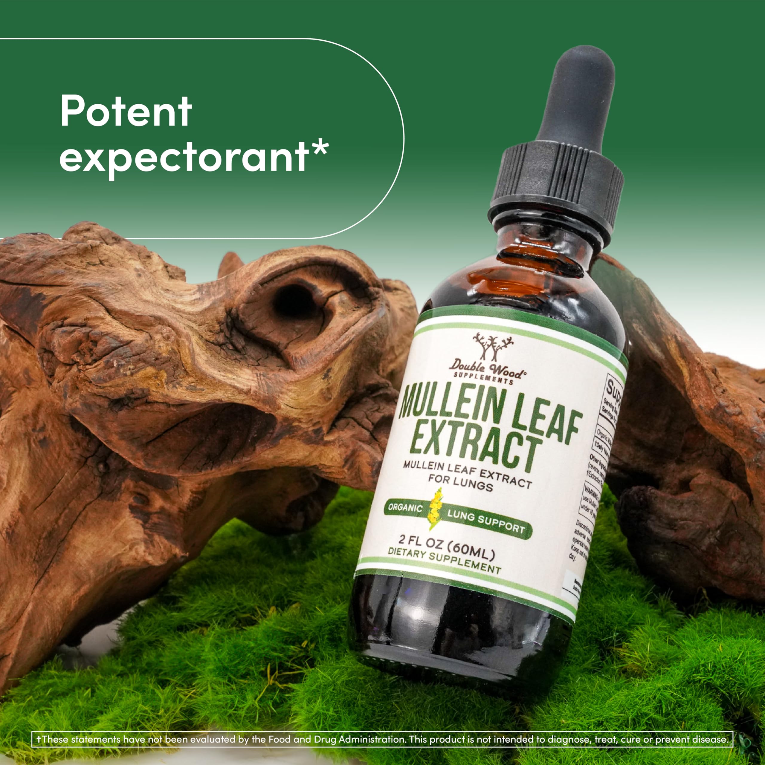 mullein extract with no chlorophyll