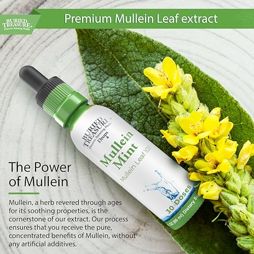 mullein flower benefits for health