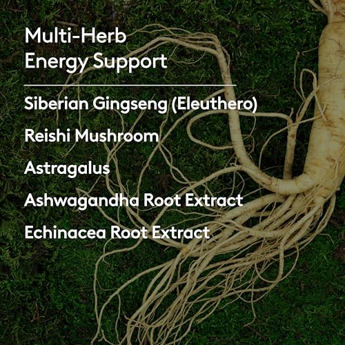 mullein flower benefits for health