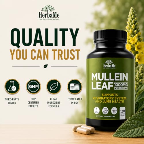 mullein flower benefits for health