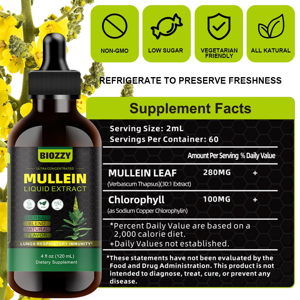 mullein flower benefits for health