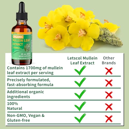 mullein flower benefits for health