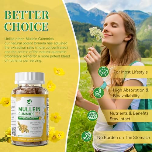 mullein flower benefits for immunity