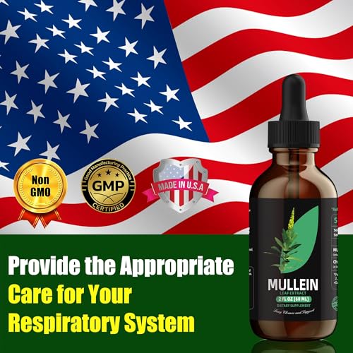 mullein flower benefits for respiratory health