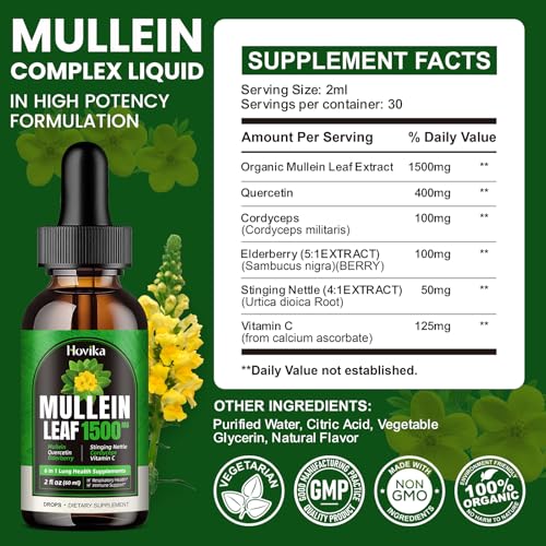 mullein flower benefits for wellness