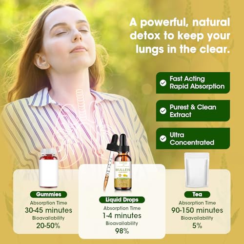 mullein flower benefits for wellness