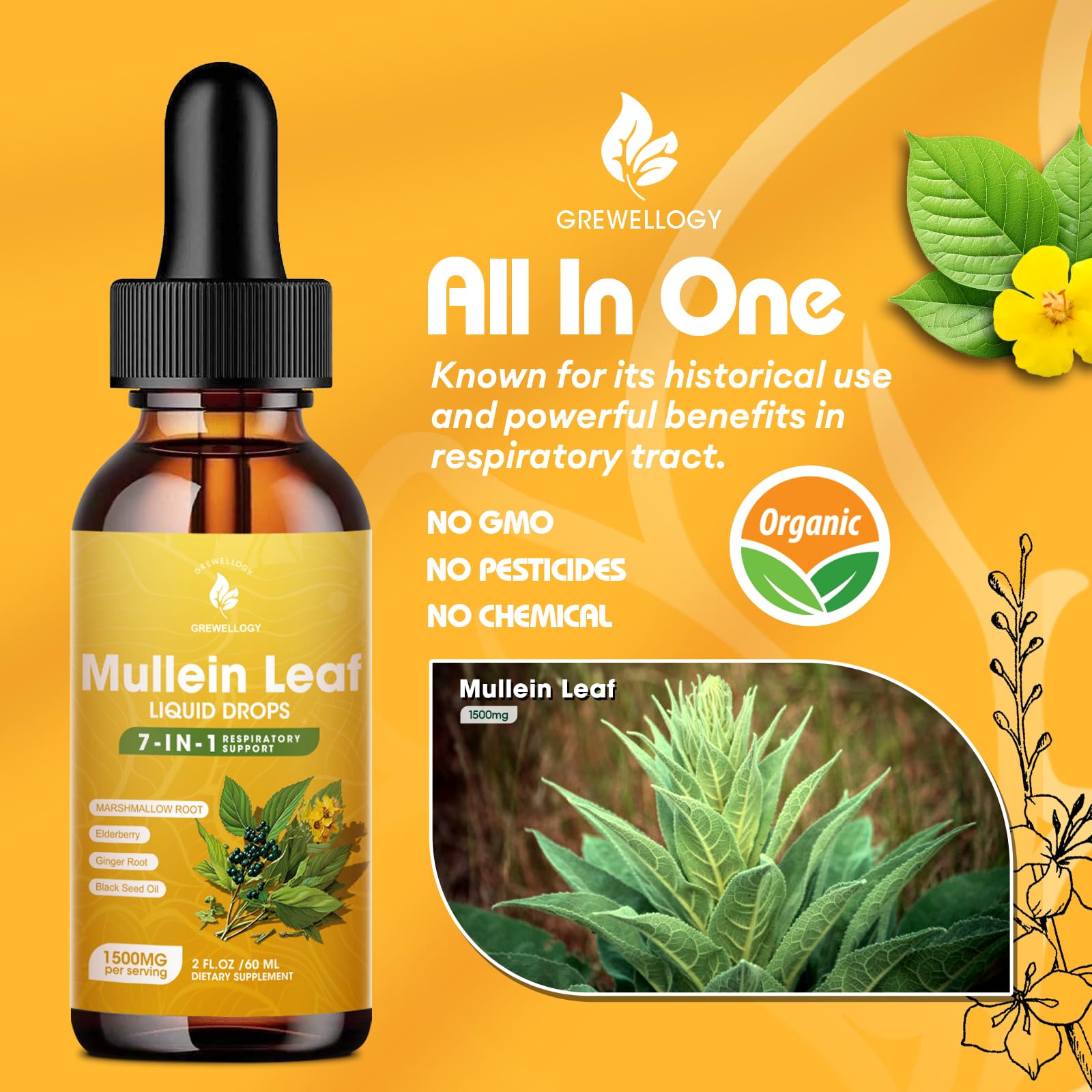 mullein for better airways health