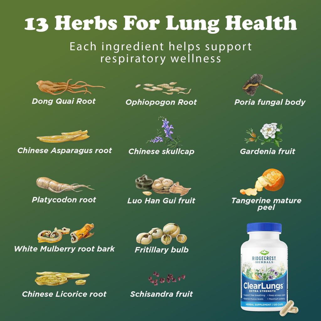 mullein for enhanced respiratory function