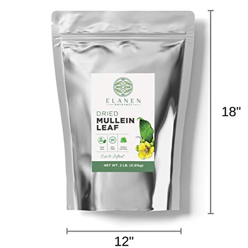 mullein for respiratory health