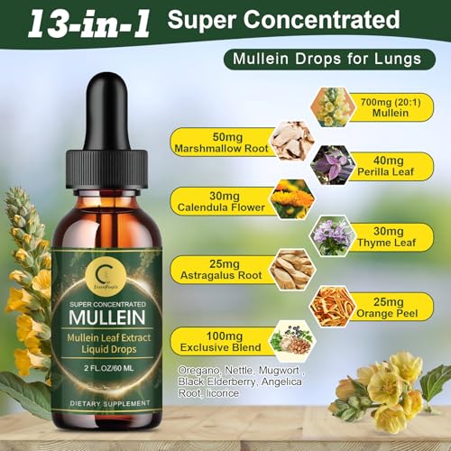mullein for respiratory support