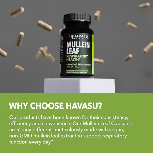 mullein for respiratory system health