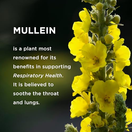mullein gummies for allergy support