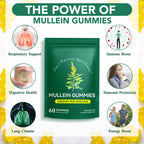 Mullein gummies for immune support