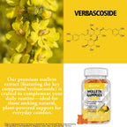 Mullein gummies for seasonal allergy relief