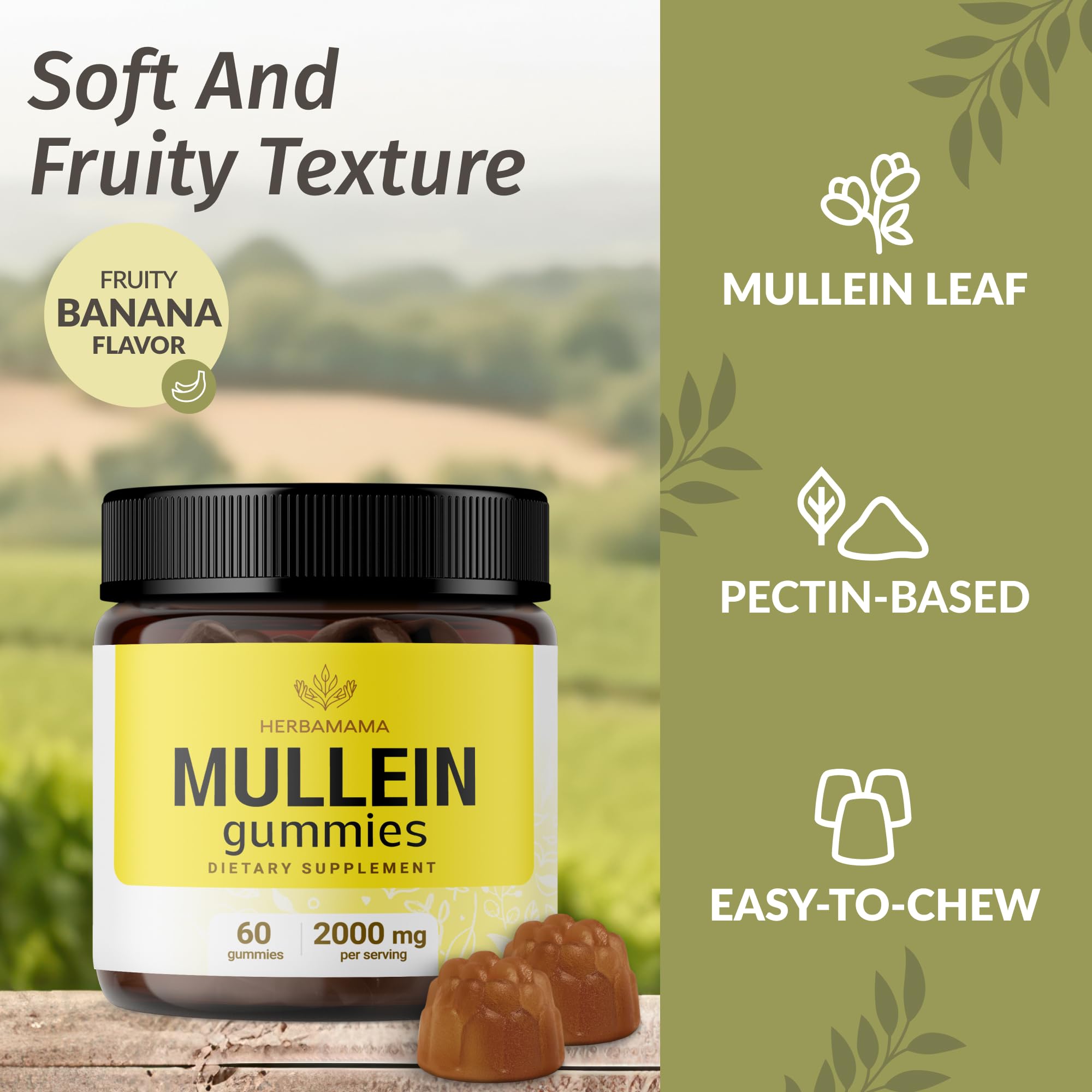 Mullein gummies for smokers' respiratory care
