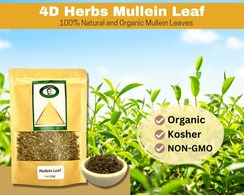 mullein herbal tea for overall wellness