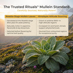 Mullein honey sticks for respiratory health