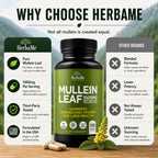 Mullein Leaf 120 capsules for daily use