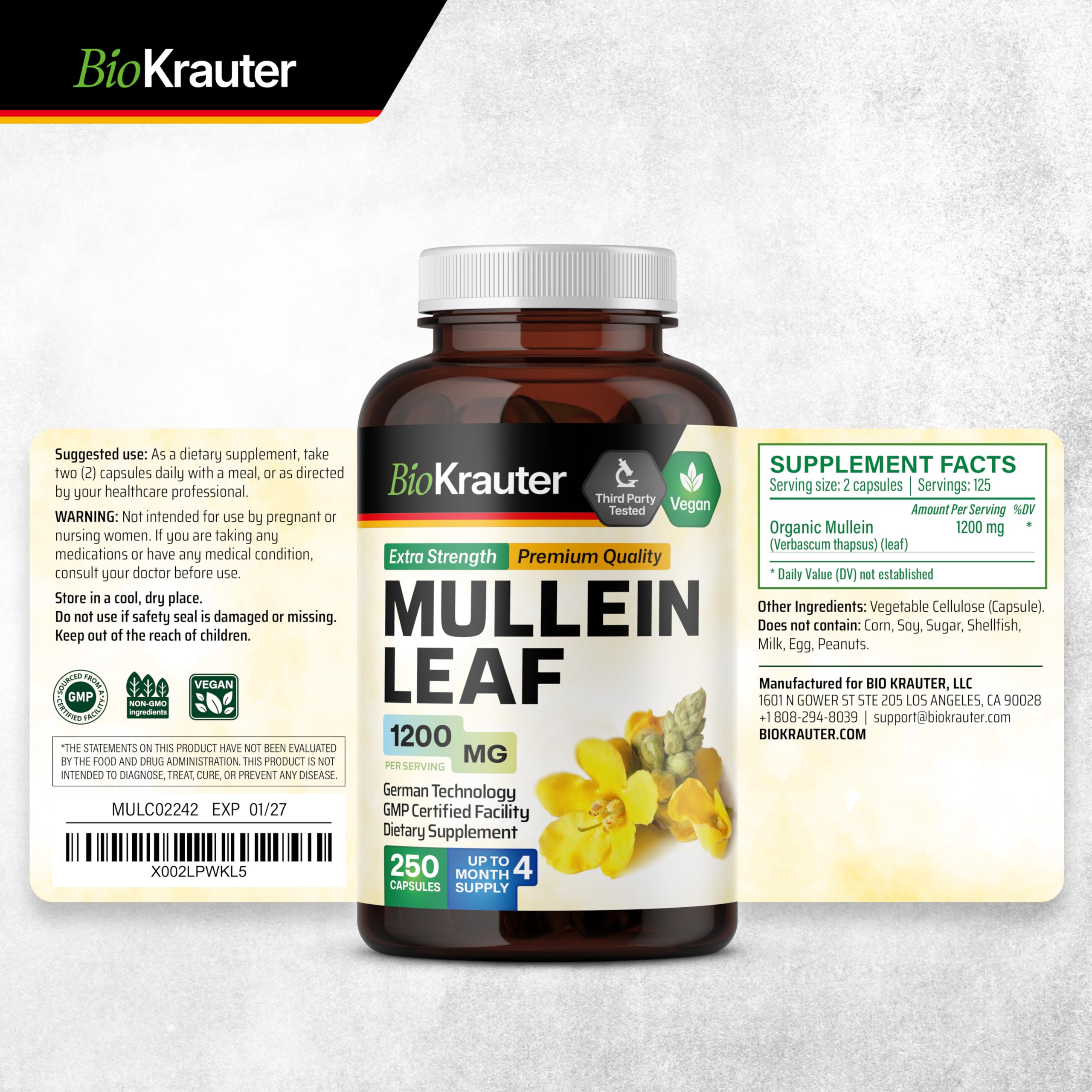 mullein leaf and its uses