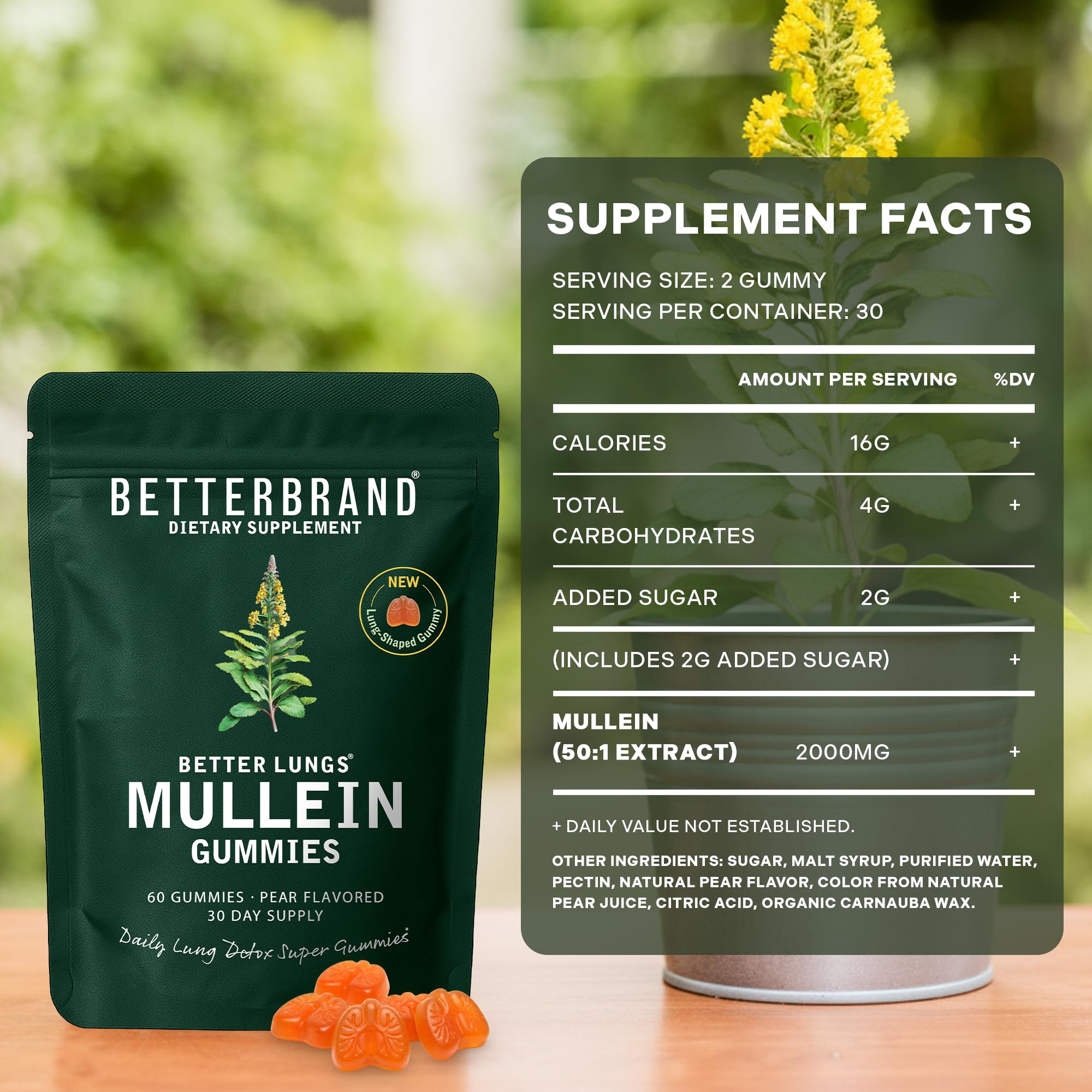 mullein leaf and Vicks for relief