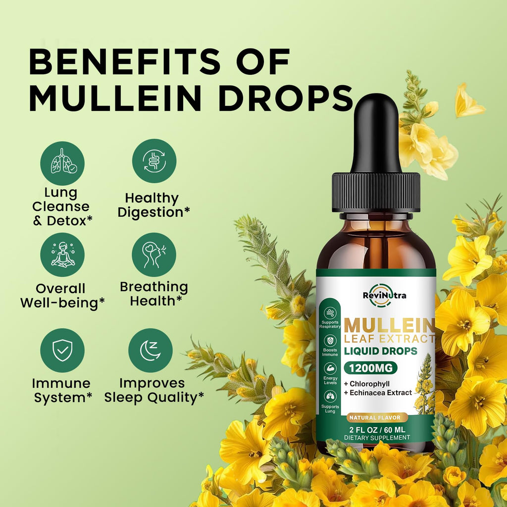 mullein leaf benefits for immunity
