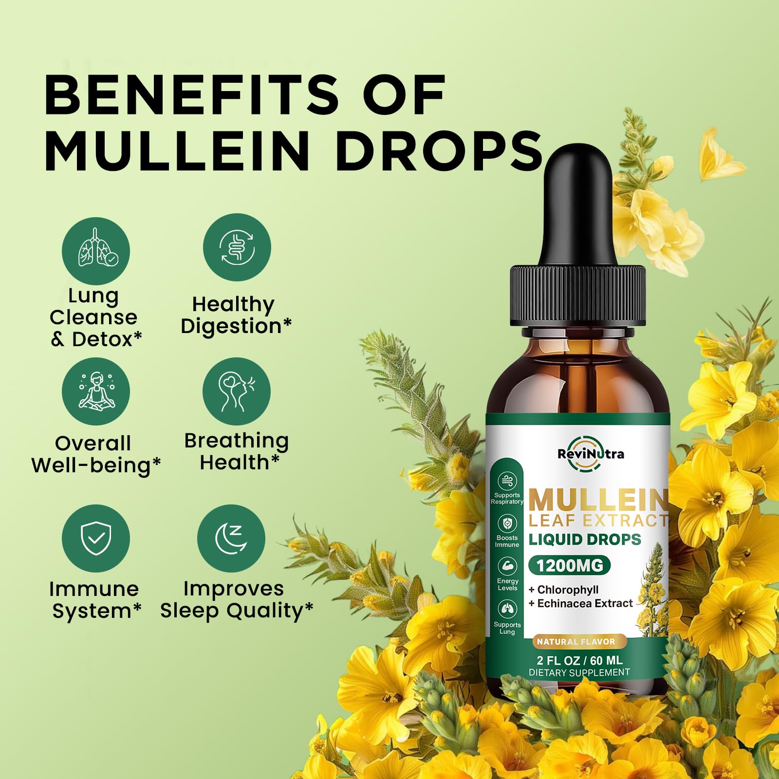 mullein leaf benefits for immunity