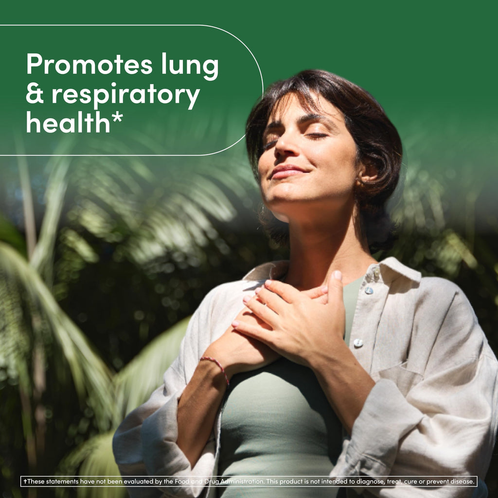 mullein leaf benefits for lungs
