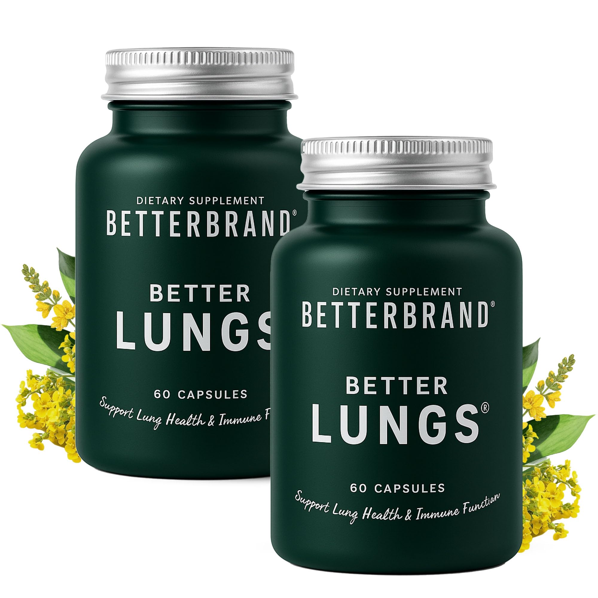 mullein leaf benefits for smokers