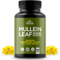 mullein leaf capsules for lung health