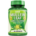 mullein leaf capsules for lung health
